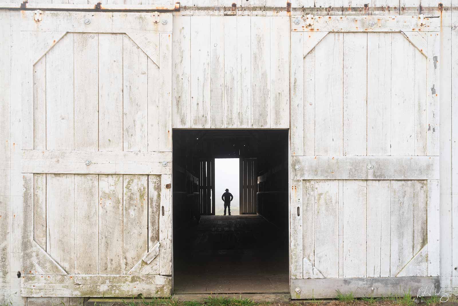 Barn Wall Photography