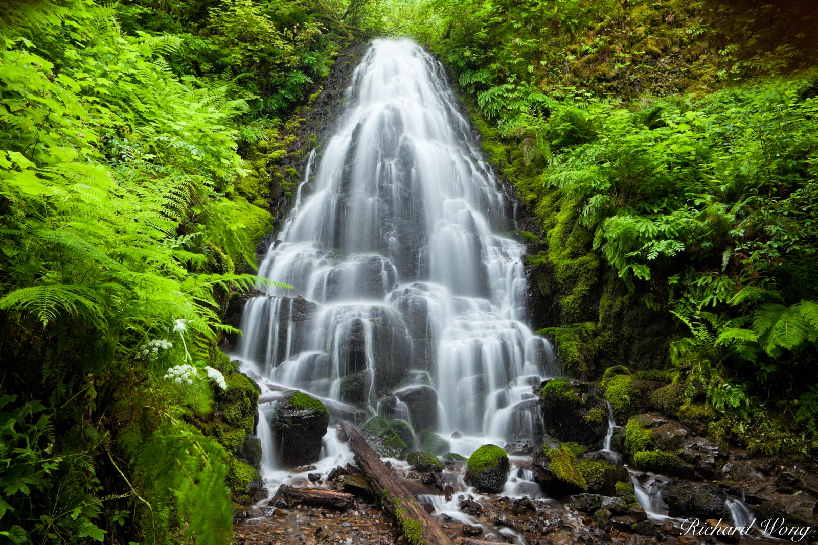Fairy Falls | Columbia River Gorge National Scenic Area, Oregon ...