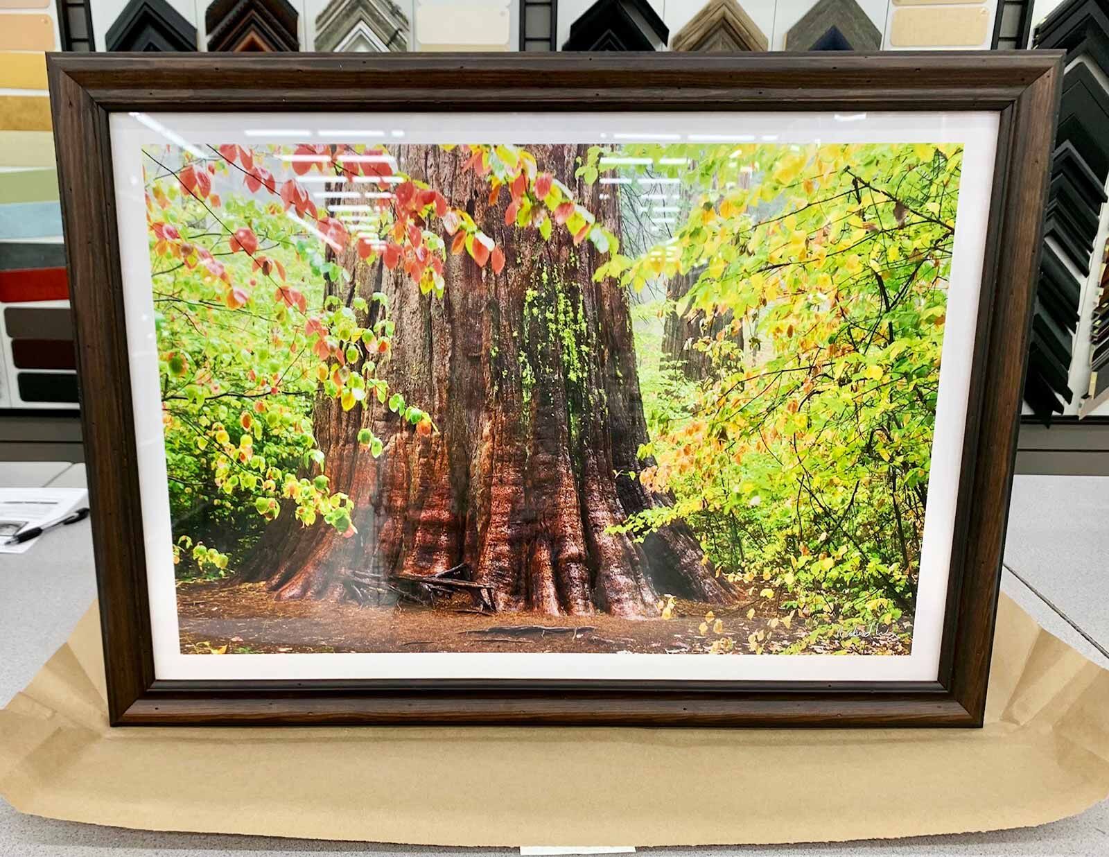 Fine Art Photography Prints For Sale | Richard Wong Photography Fine Art Photography Prints For Sale | Richard Wong Photography